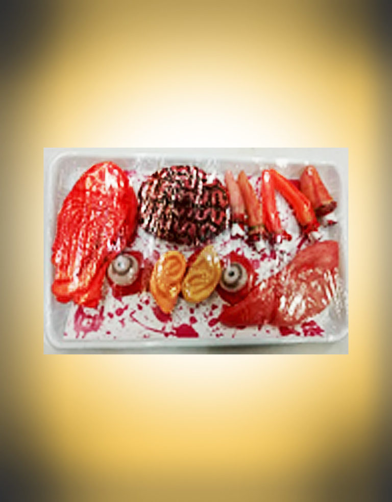 Halloween Props Human Body Parts | Halloween Decorations